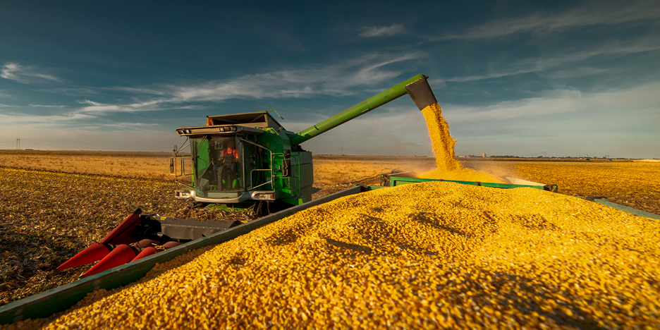 SES AGRO - SES Group